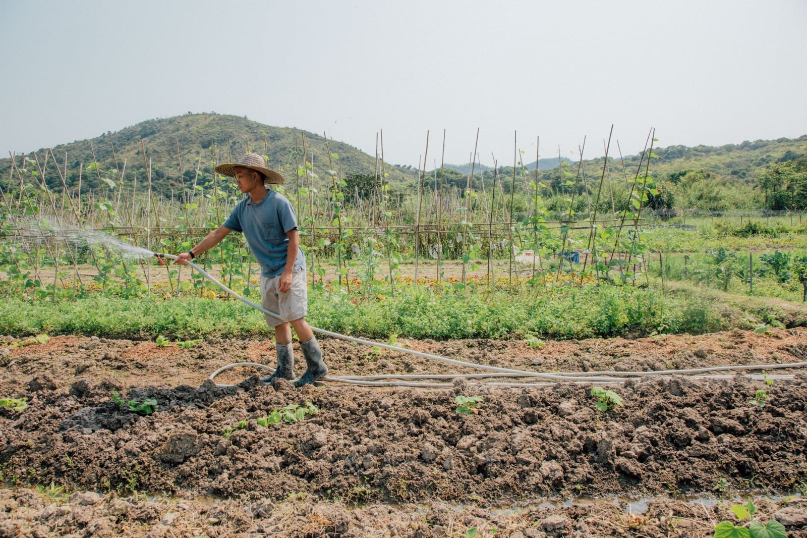 Humble Roots Earth Month Campaign｜展覽