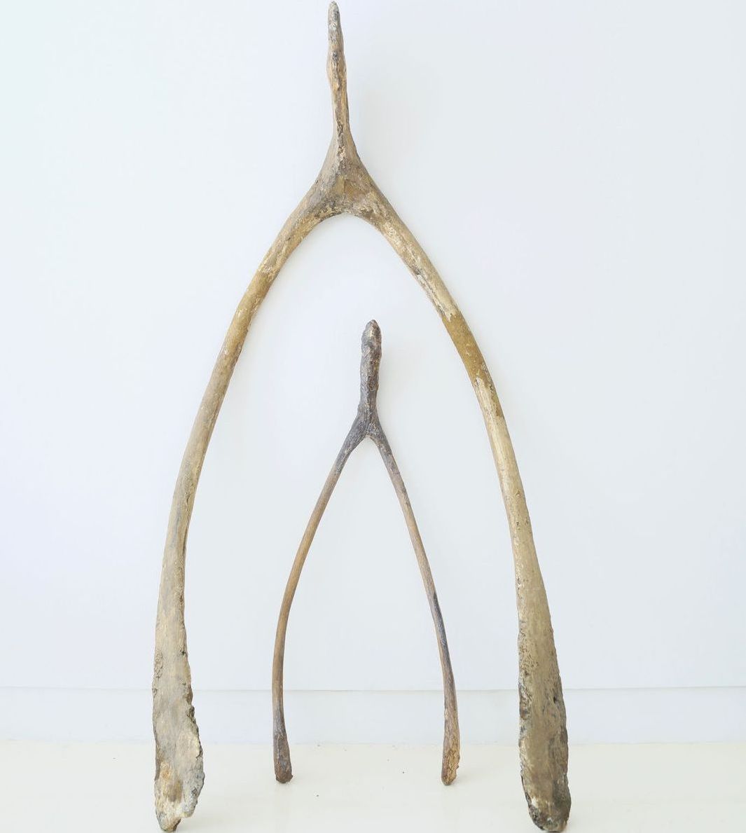 Journey into Nature | MING FAY Solo Exhibition