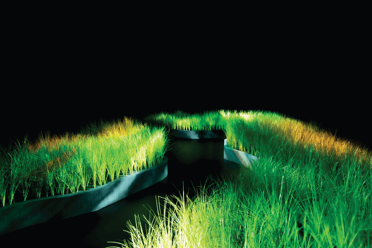 Dimension Plus《稻浪四時》──場域特定裝置作品｜展覽｜香港藝術館