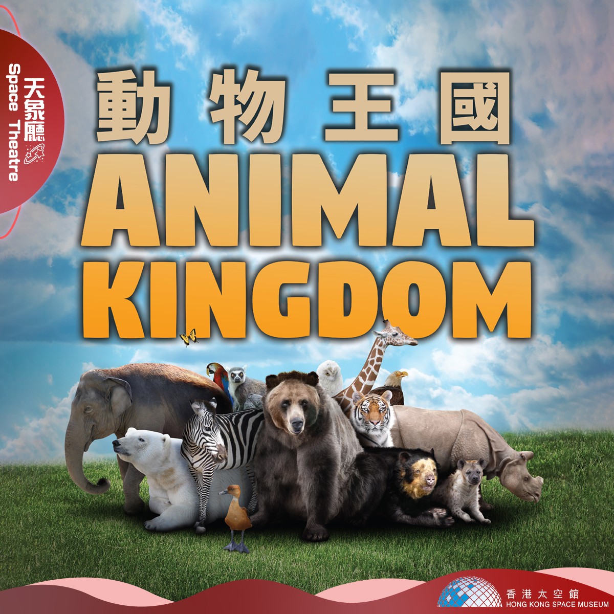 Animalia Kingdom Families