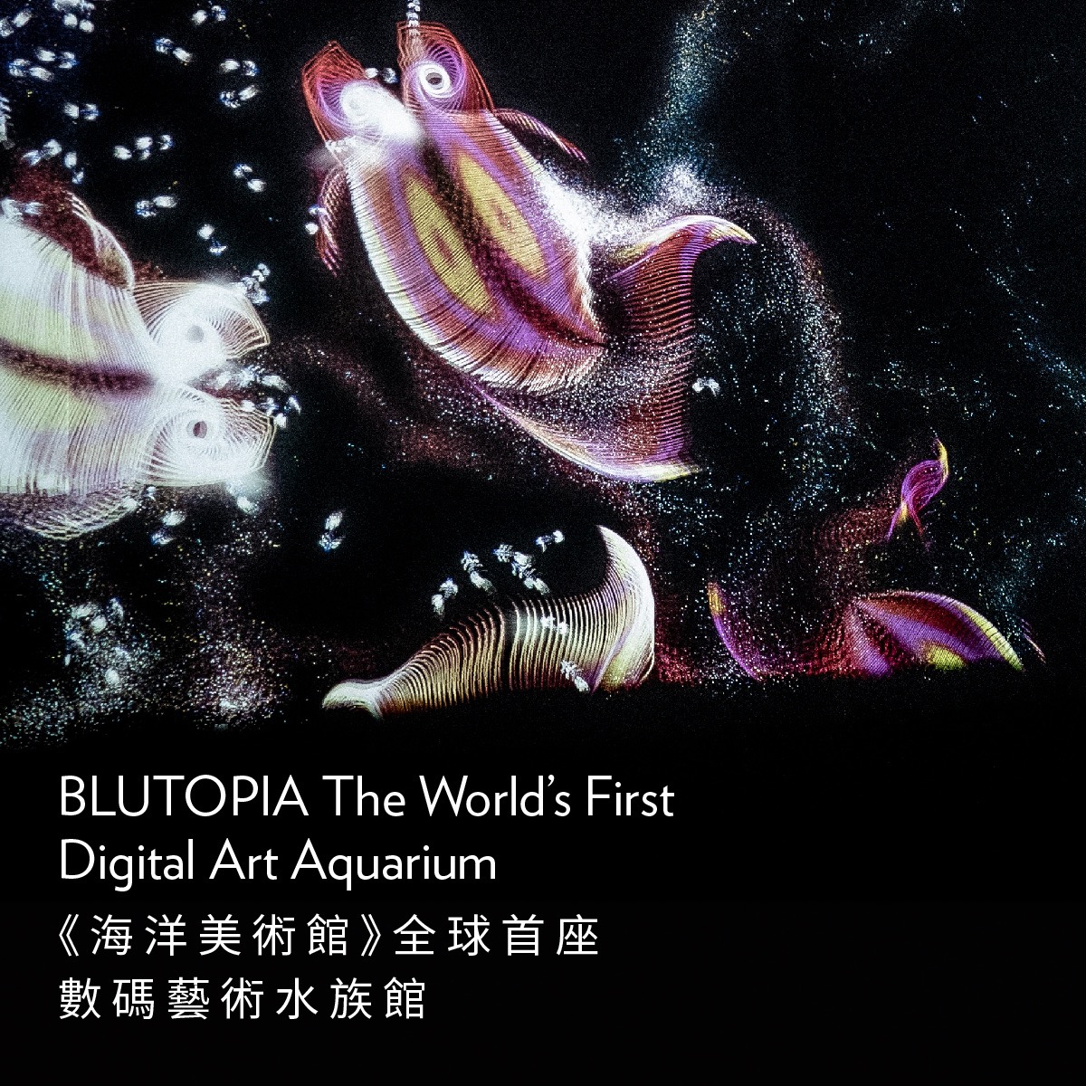 BLUTOPIA - Immersive Art Exhibition｜AIRSIDE