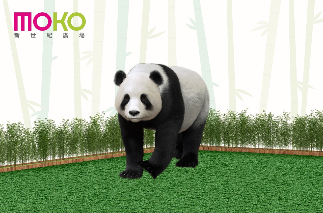 MOKO呼嚕Panda遊世界｜MOKO新世紀廣場