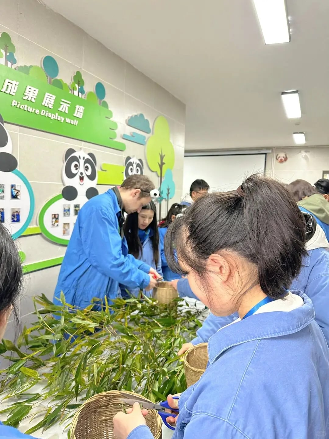 [Panda Volunteer] 1-day love experience Dujiangyan/Wolong Panda Base ...