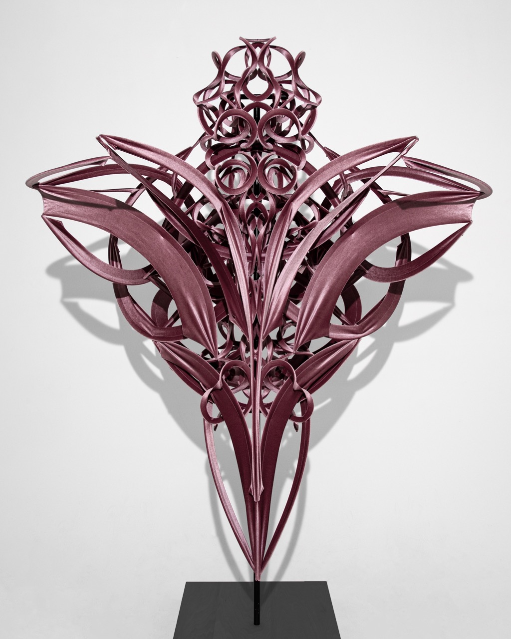 Ryunosuke Okazaki : Oracle | Exhibition