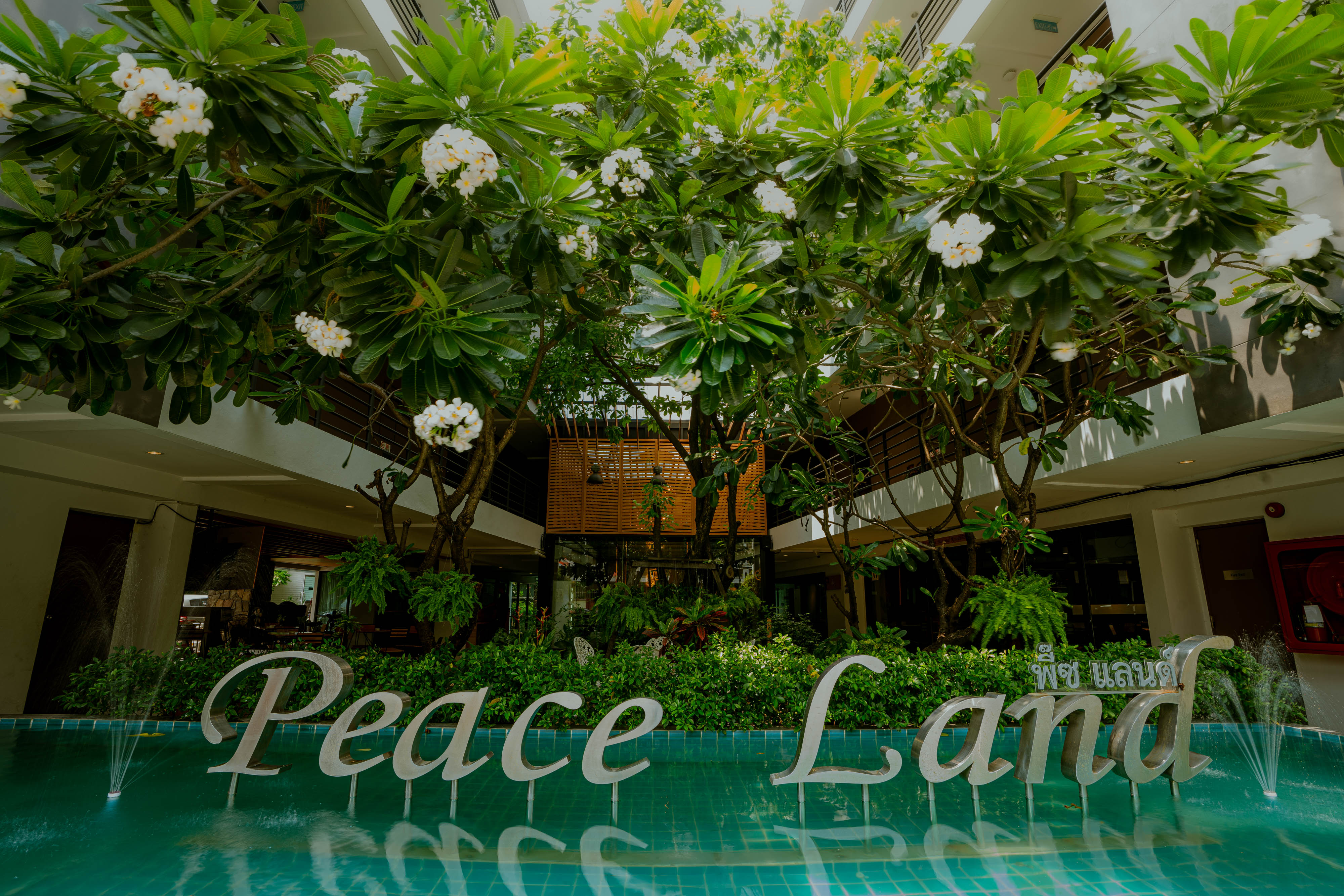 Peace Land Khaosan in Bangkok | 2025 Updated prices, deals - Klook ...