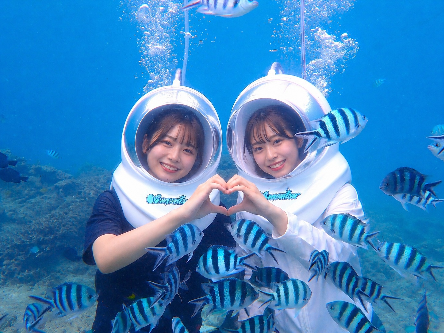 Okinawa: Blue Cave Introductory Diving & Onna Village Underwater Walk ...