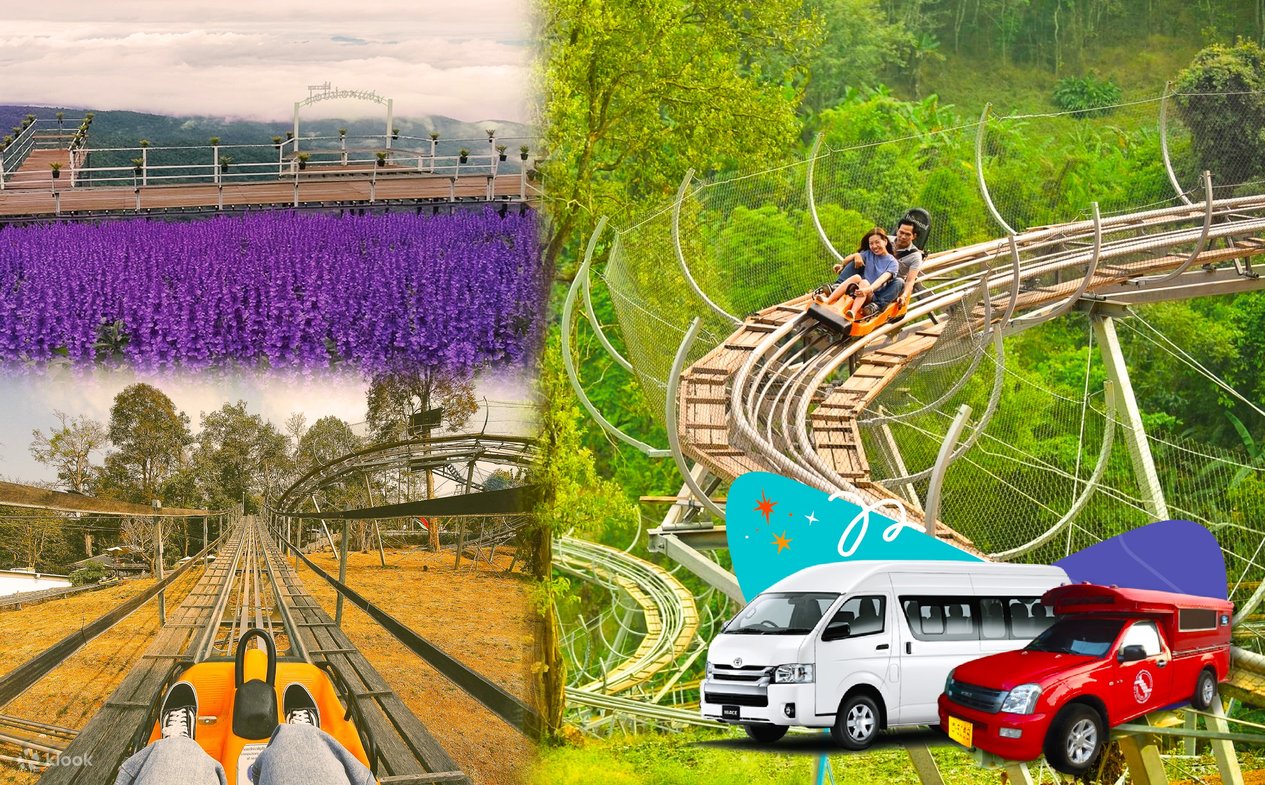 Chiang Mai: Mon Jam and Pongyang Jungle Private Day Trip - Klook