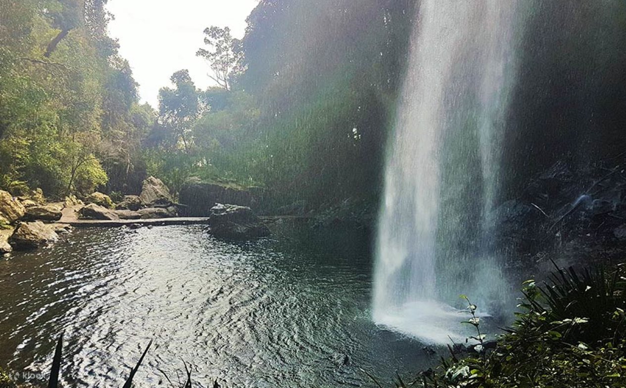 Springbrook National Park and Wildlife Day Tour with Chinese Guide ...