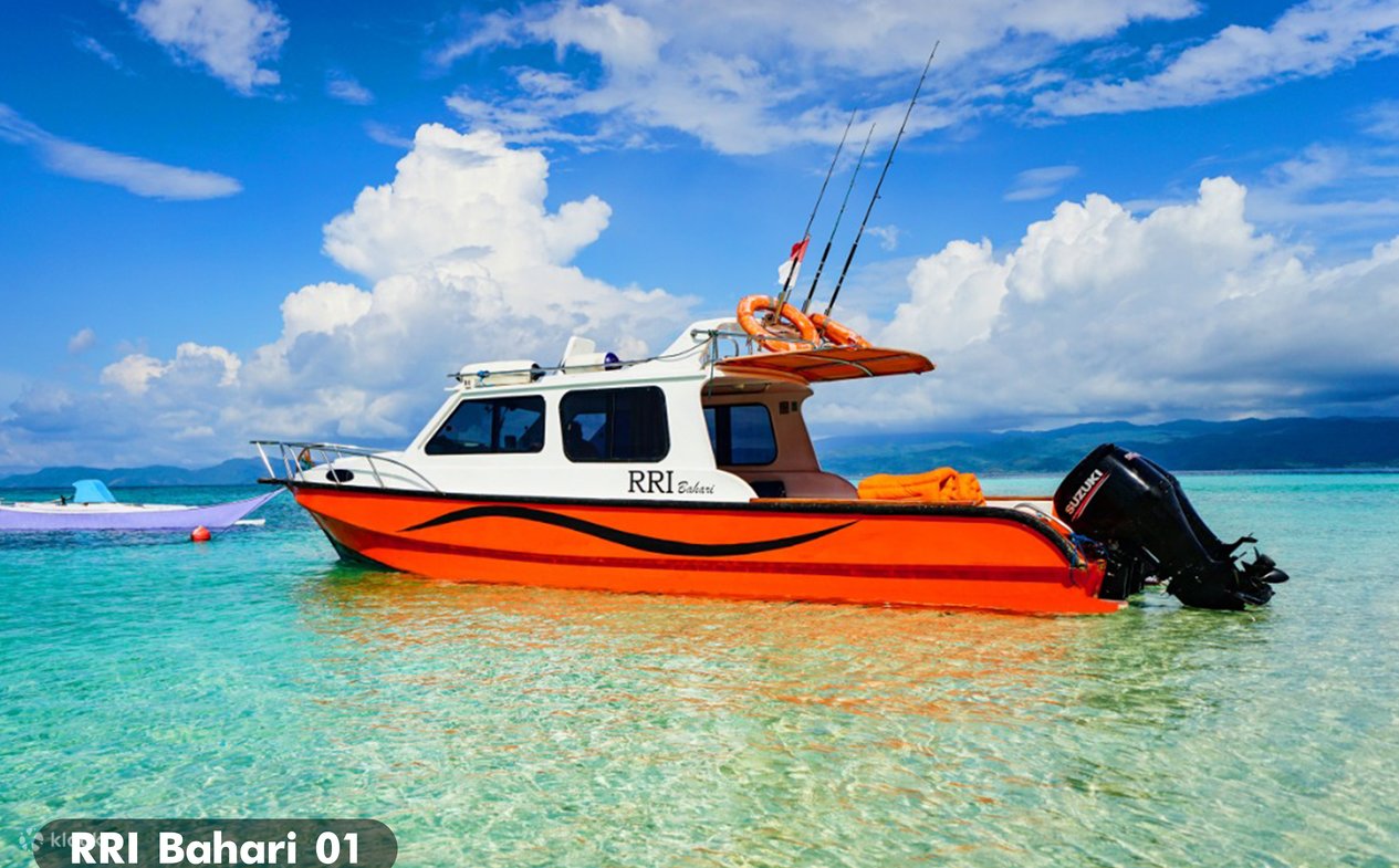 Private Full Day Komodo Speedboat Tour from Labuan Bajo by RRI Bahari ...