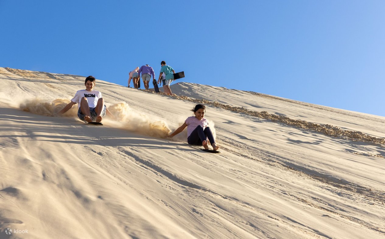 Port Stephens Private Day Tour - Klook Malaysia