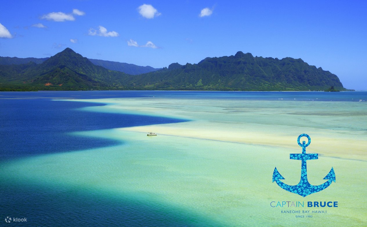Kane'ohe Bay Sandbar Turtle Watching & Snorkeling Tour - Klook Malaysia