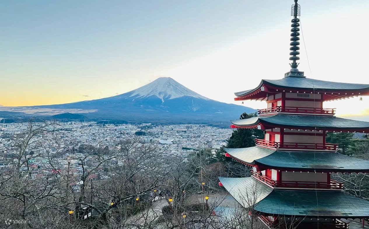 Tokyo Car Rental with Driver to Tokyo City/Mount Fuji/Hakone/Kamakura ...