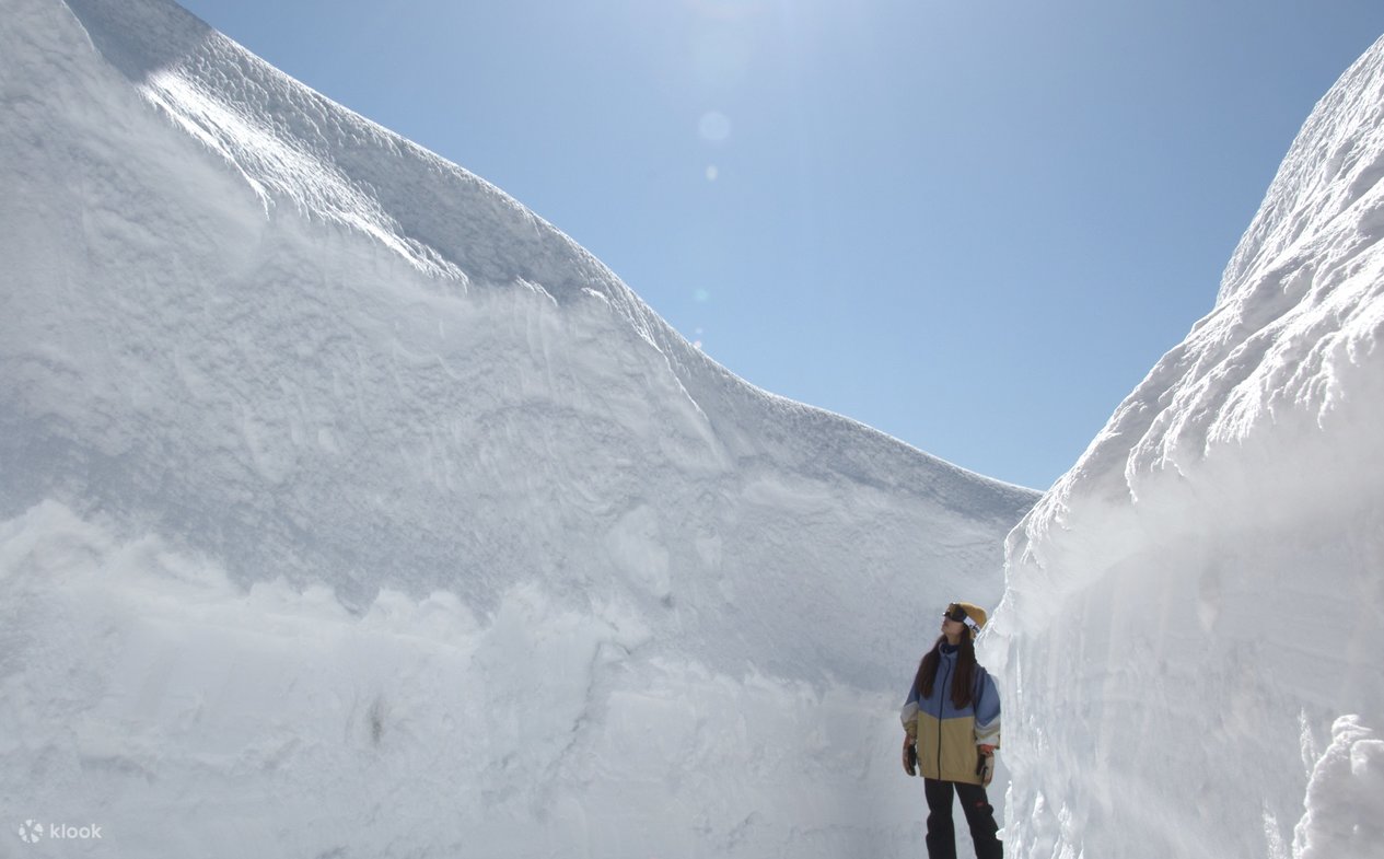 Hakuba Tsugaike Snow Wall & Shinshu's 2 Best Cherry Blossom Spots in ...