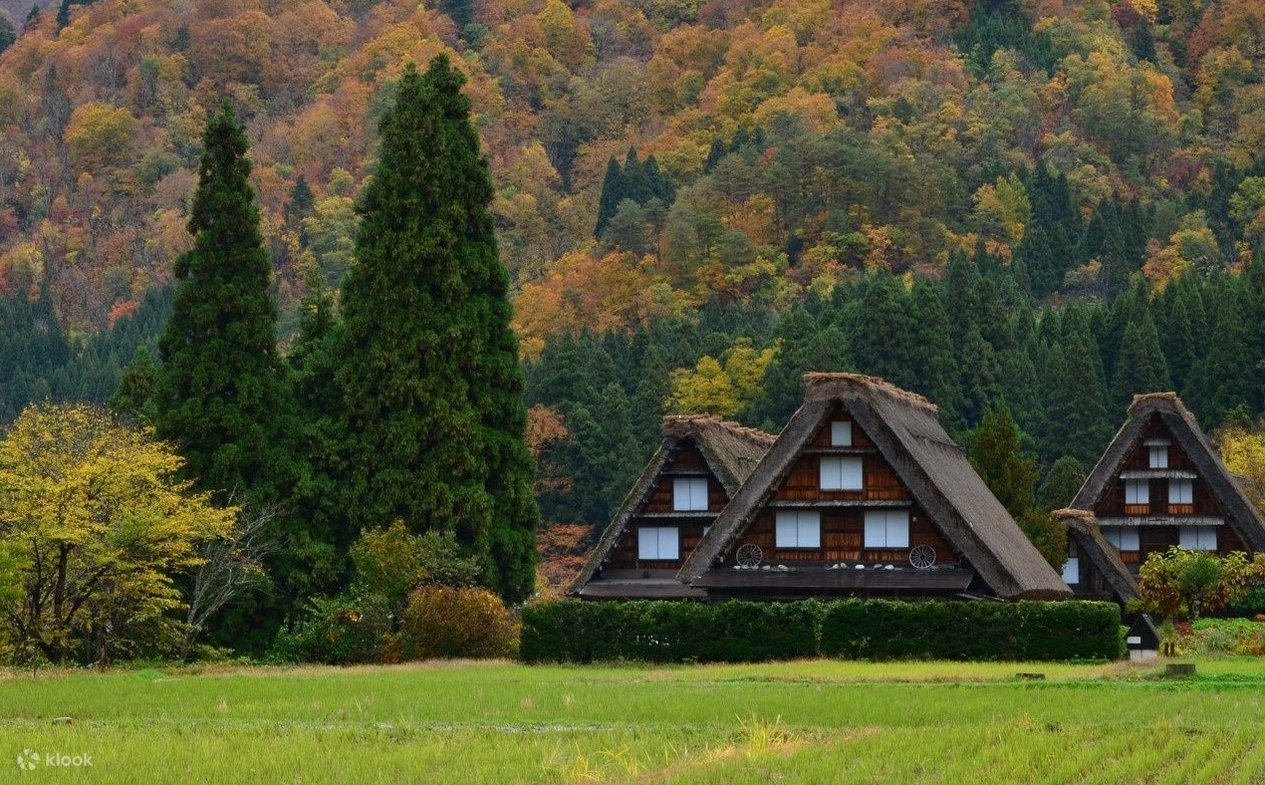 Shirakawa-go Line Bus Non-Reserved Seat Ticket - Klook