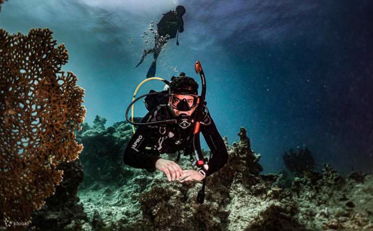 Scuba Diving Trip in Jeddah for Certified Divers - Klook Hong Kong