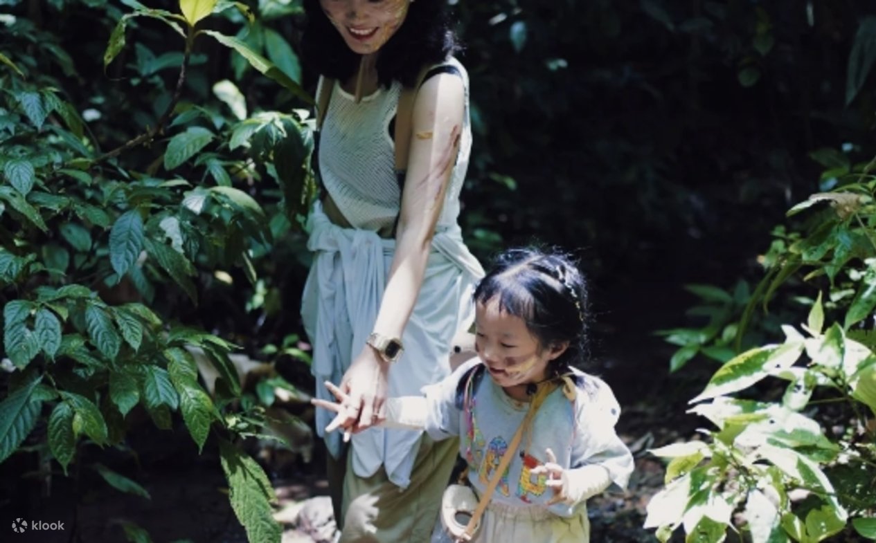 One-Day Rainforest Trekking Tour in Jinuo Mountain, Xishuangbanna ...