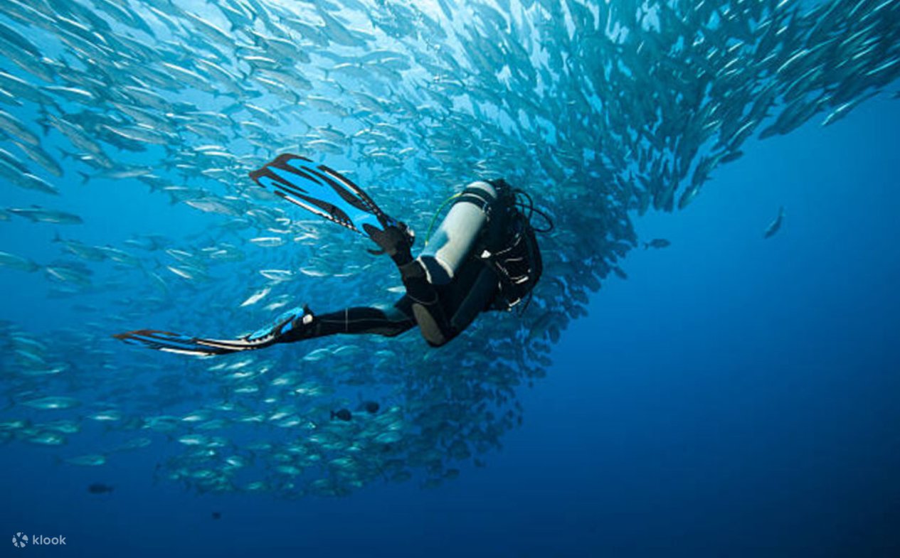 Goa: Scuba Diving Combo Package in Grand Island - Klook Australia