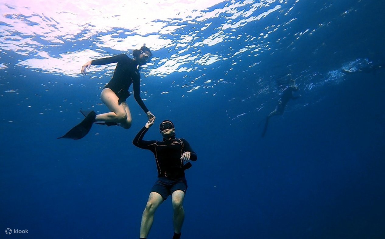New Taipei Gongliao Longdong Diving OW・AOW Certification・Freediving ...