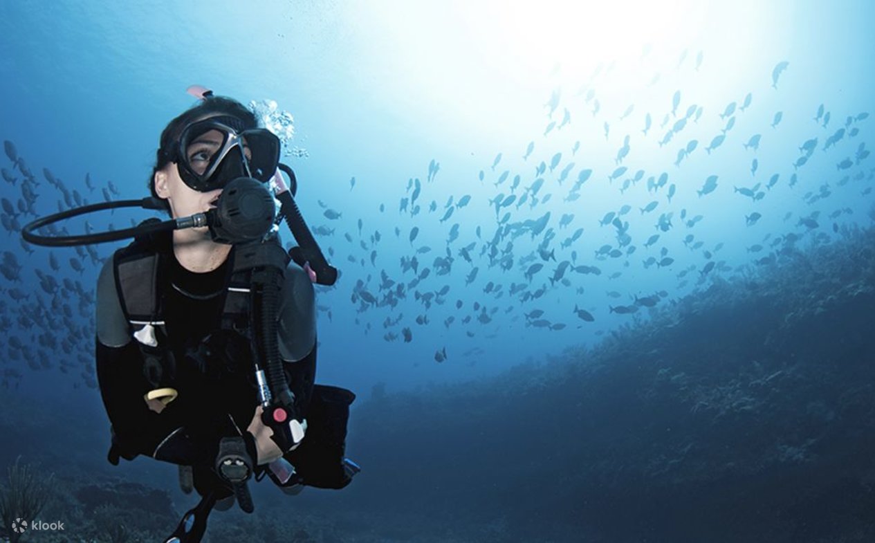 Sapi Island Scuba Diving Adventure in Kota Kinabalu, Sabah - Klook Malaysia