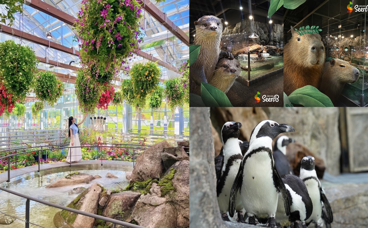 Gapyeong Nature Tour: Aqua Garden, Begonia Bird Garden & SeenB Zoo ...
