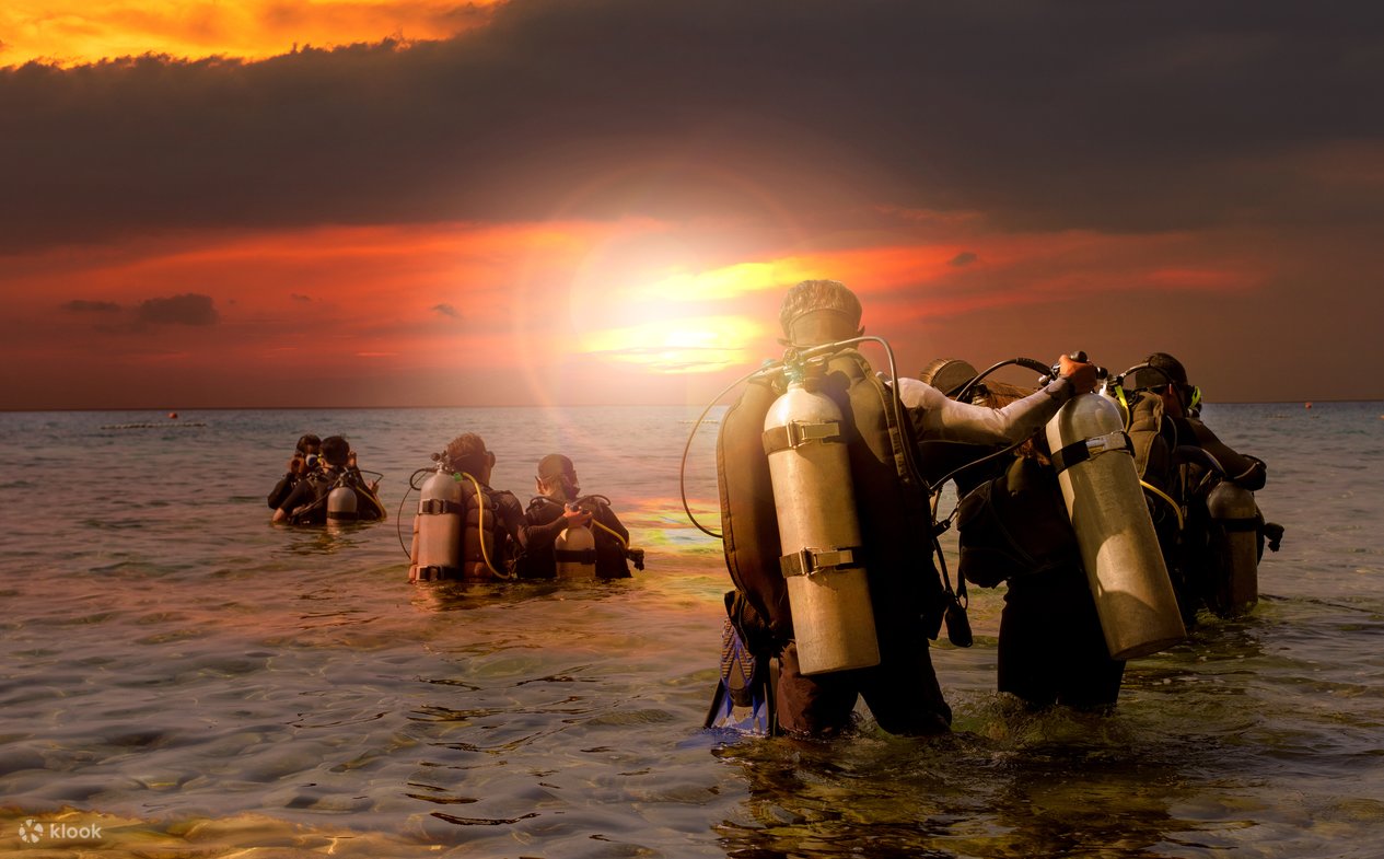 Experience the PADI Advanced Open Water Diver Course in Koh Tao with ...