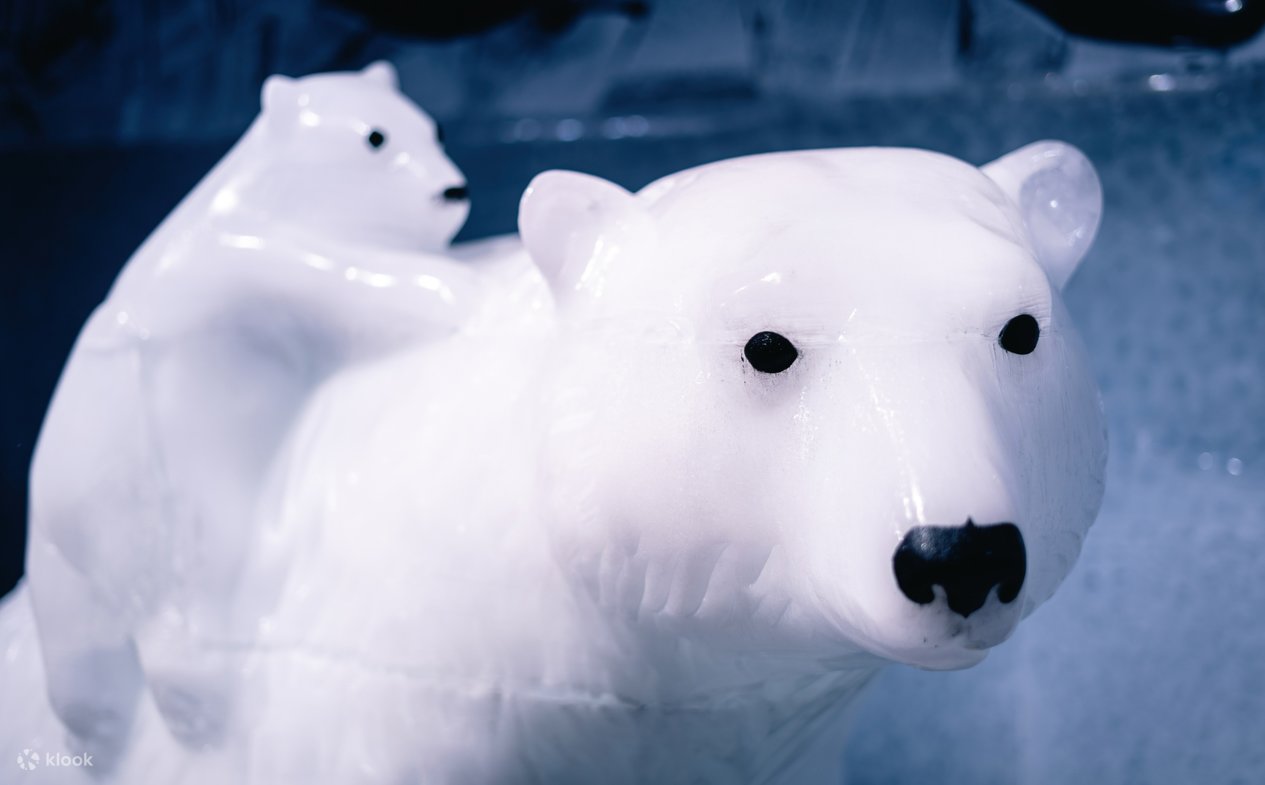 Berlin Icebar Experience Drinks Tasting in Berlin - Klook