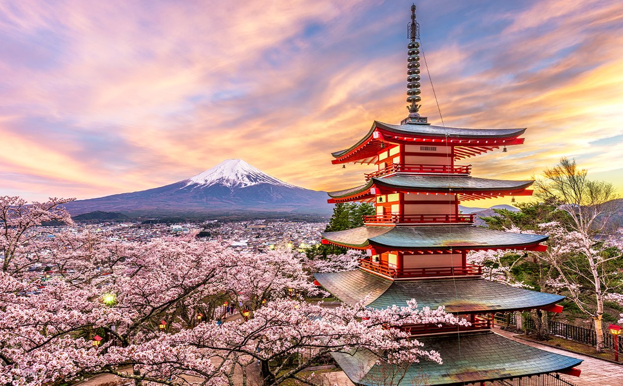 One-day tour to Arakurayama Sengen Park & Hikawa Watch Store & Oshino ...