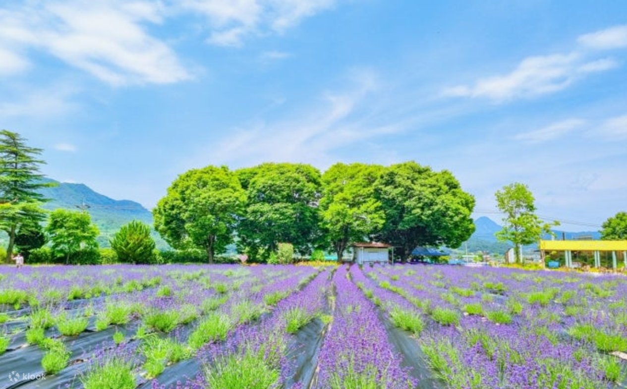 Geochang Healing in Nature: A Slow Life Retreat Tour from Seoul - Klook ...