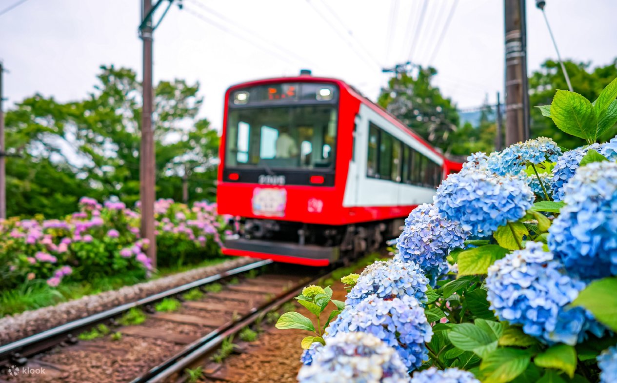 Hakone Hydrangea Train, Pirate Ship & Lunch at Hotel de Yama - Klook ...