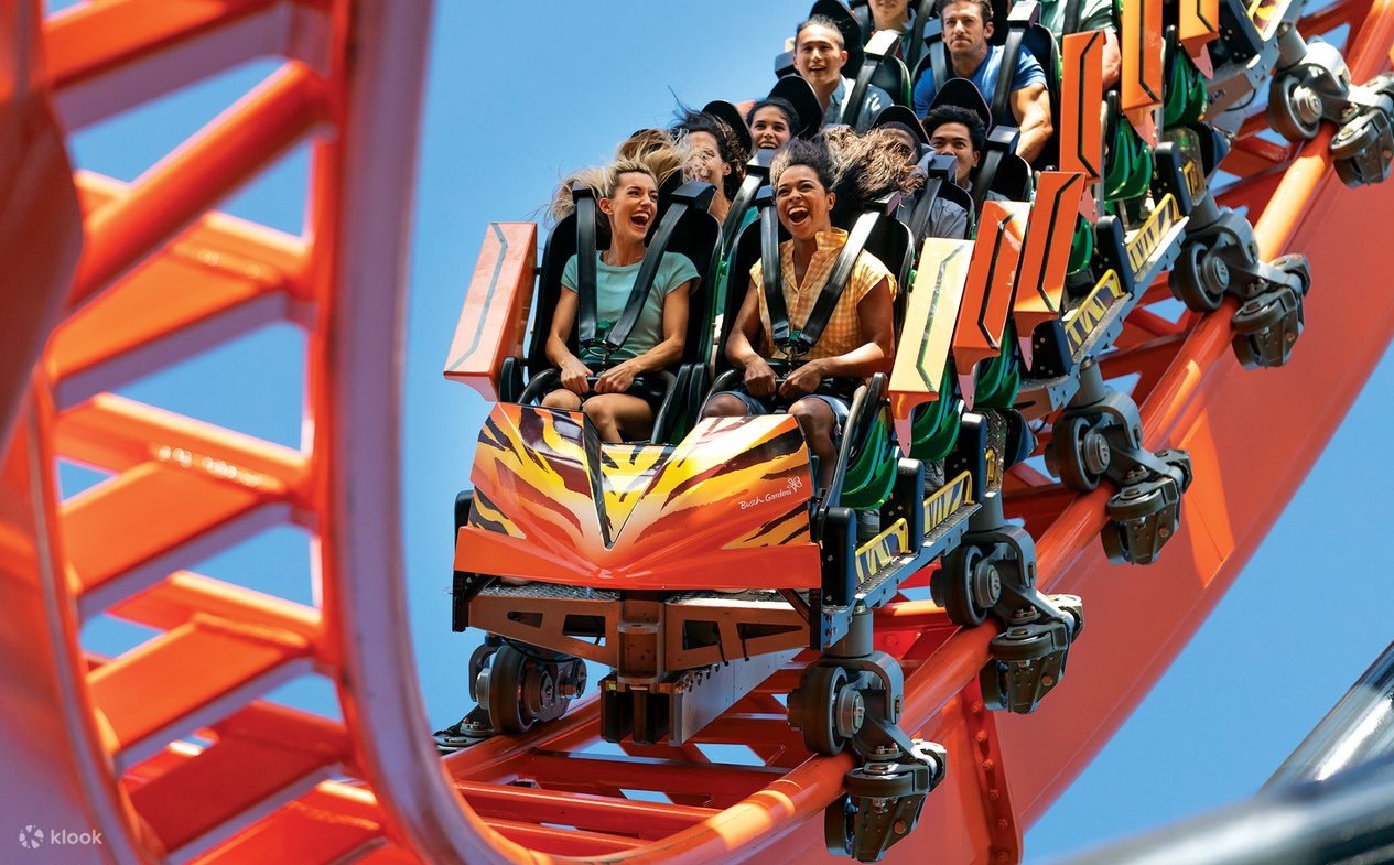 Busch Gardens Tampa Bay Admission - Klook