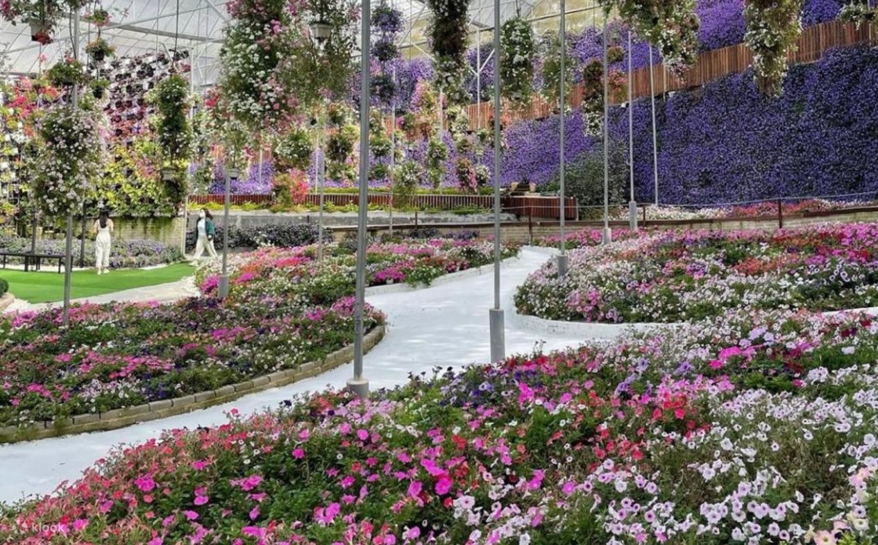 카메론 하이랜드의 플로라 파크 - 클룩 Klook 한국