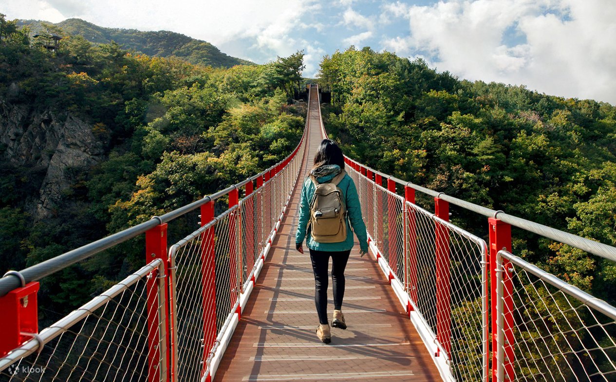 DMZ 제2땅굴 + 한탄강 하늘다리 - 클룩 Klook 한국