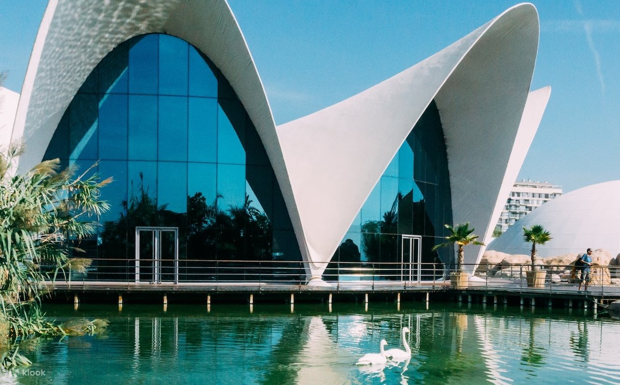Oceanografic Aquarium Admission in Valencia - Klook