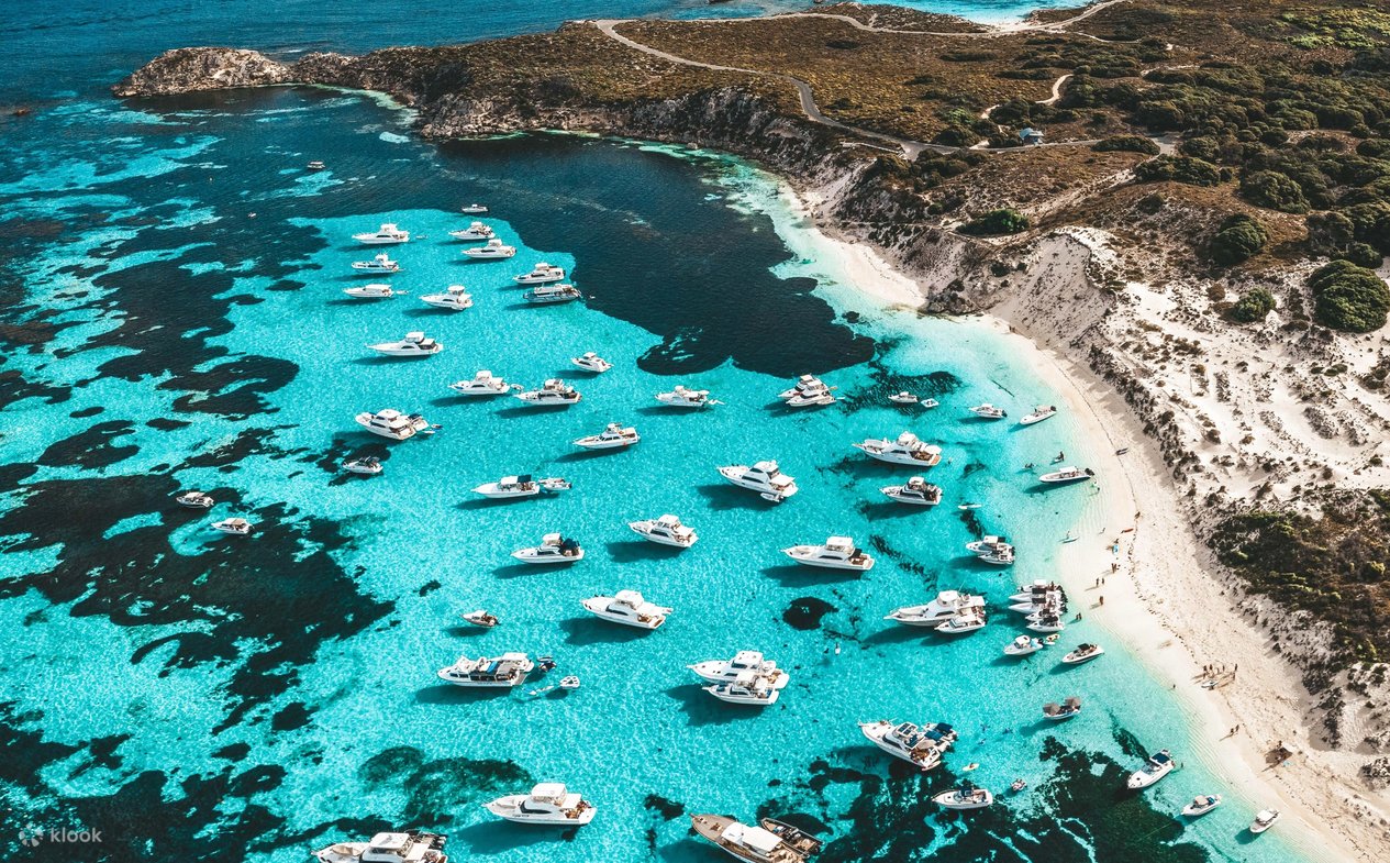 Seaplane Flight to Rottnest Island - Klook
