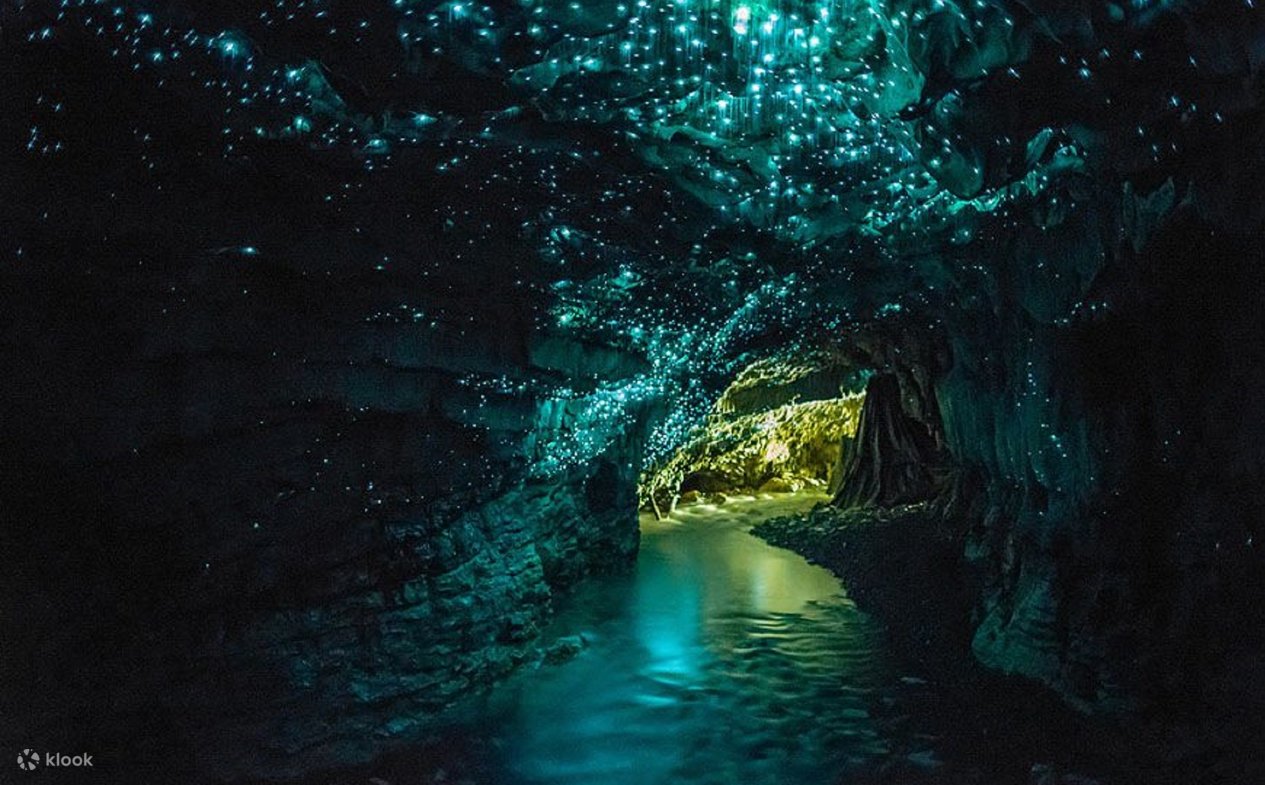 Waitomo Glow worm Caves - Klook India