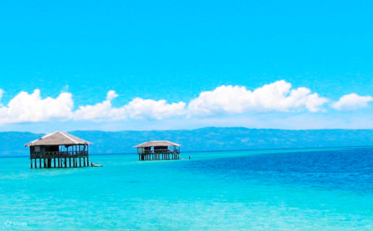 Manjyod White Sandbar with Dolphin Watching and Sightseeing Tour Join ...