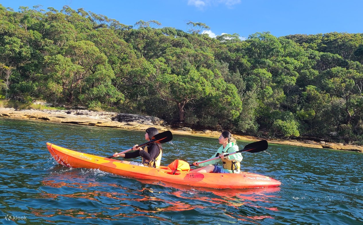 Mini Kayak Tour from Manly - Klook India