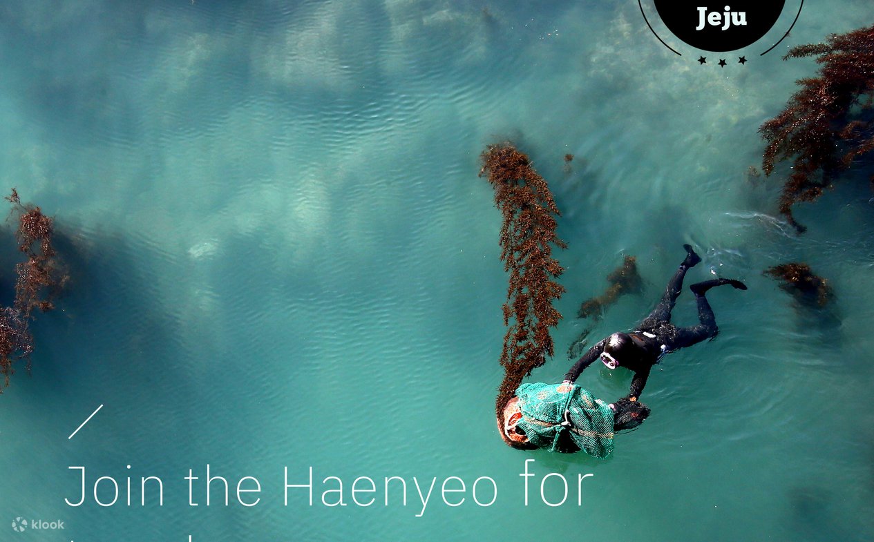 Experience Haenyeo Diving : Female Divers in Jeju - Klook