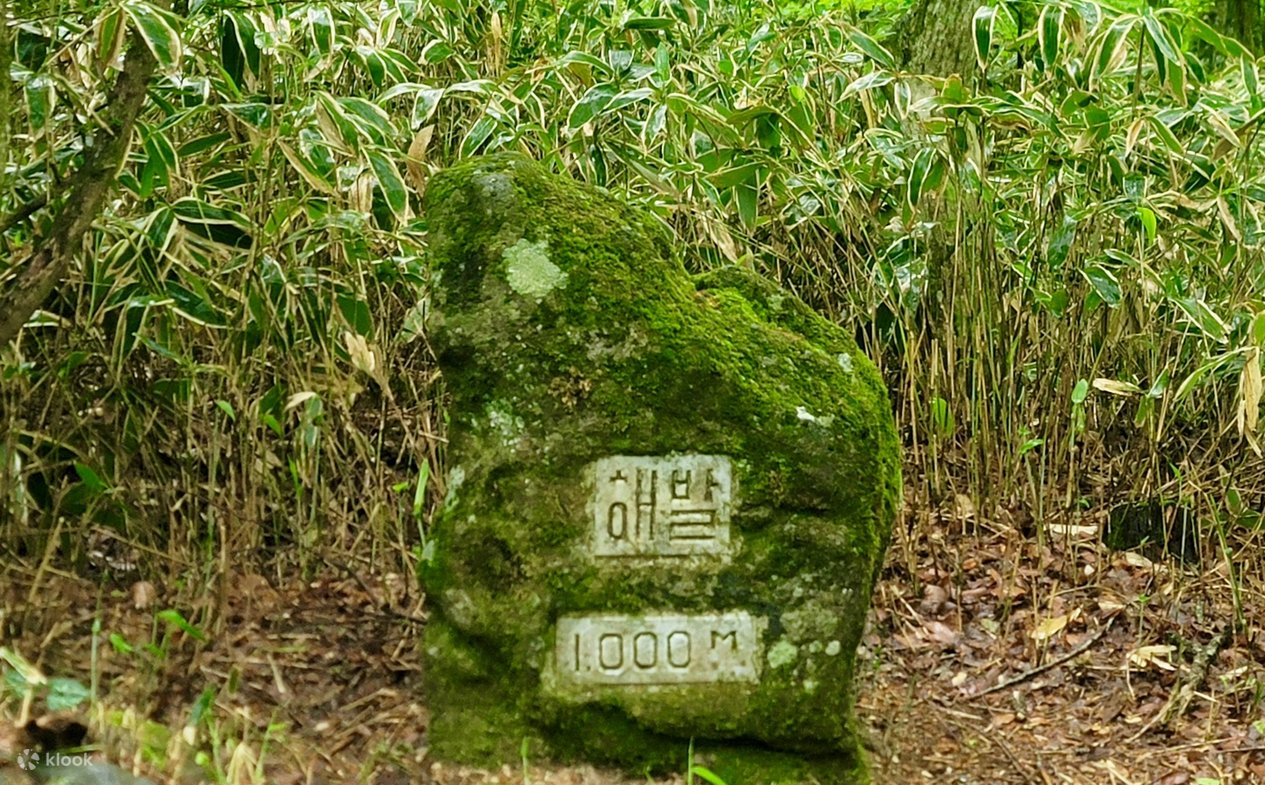 Western Jeju Island Day Tour - Klook Philippines