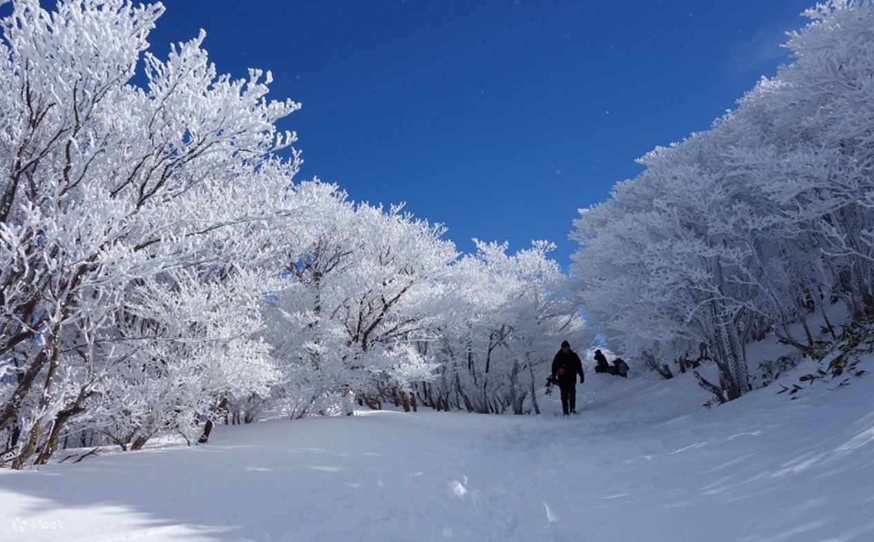 Mt. Gozaisho Snow Viewing, Aqua Ignis, and Nabana no Sato Bus Tour from ...