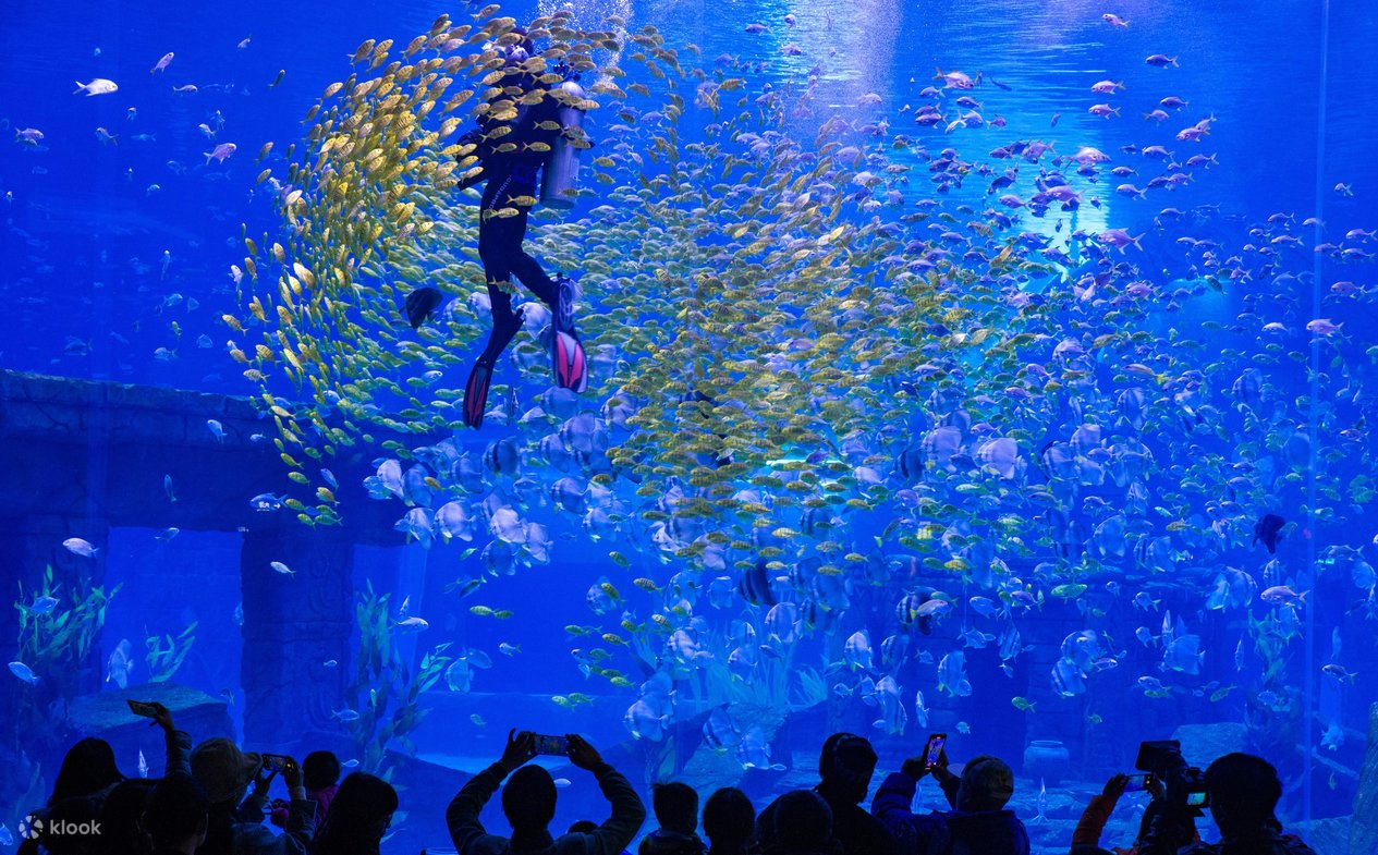 Kunming Sunac Ocean World - Klook Philippines