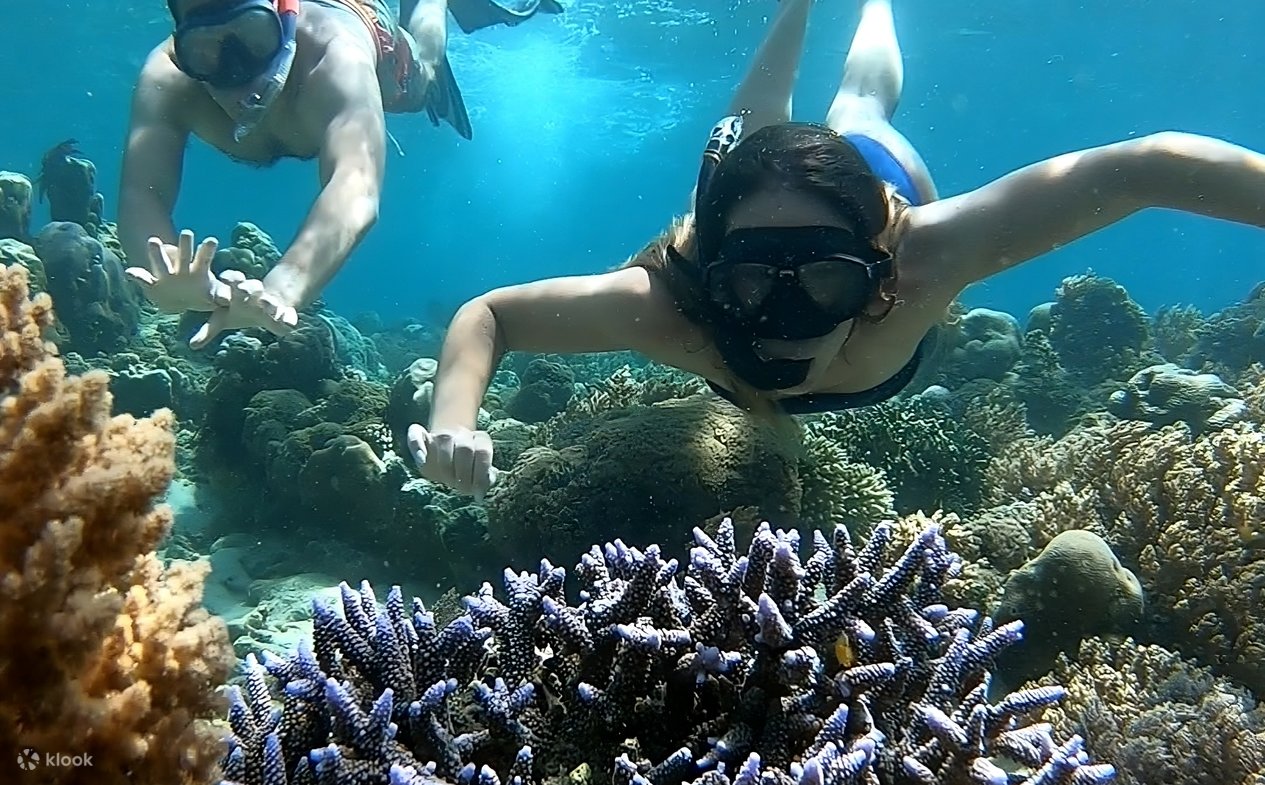 Secret Islands Private Snorkeling Tour in Lombok with GoPro - Klook India