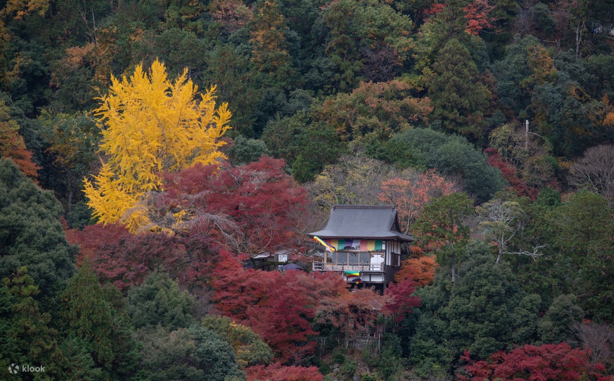 Explore Kyoto Arashiyama Bamboo Forest with Authentic Zen Experience ...