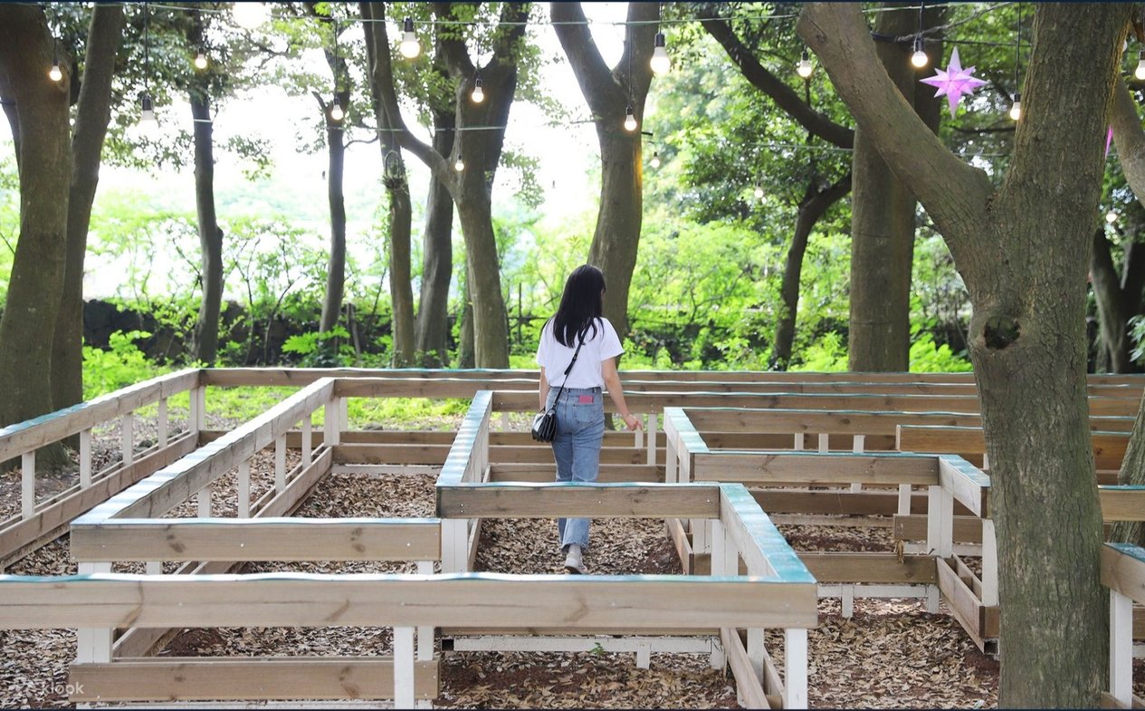 Maze Land in Jeju - Klook Hong Kong