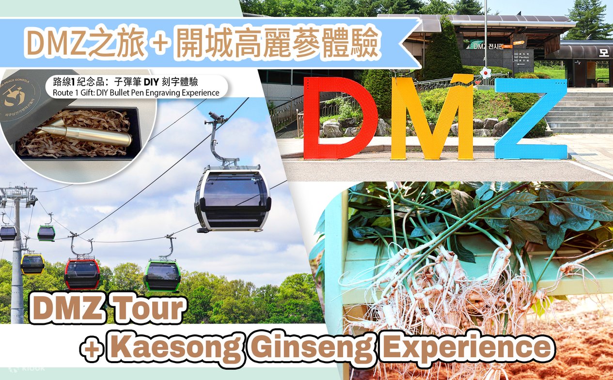 Gaeseong Ginseng Experience & Paju DMZ & Aegibong Day Tour - Klook