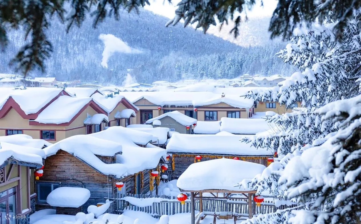 Harbin China Snow Village Private Guided 1-Day Tour (Round Trip by ...