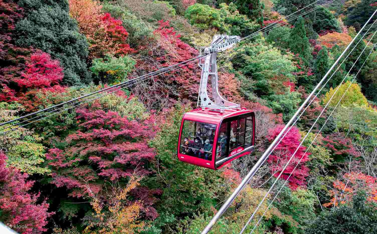 ทัวร์รถบัสชมภูเขา Rokko & เมือง Arima Onsen & Premium Outlets 1 วัน - Klook ประเทศไทย