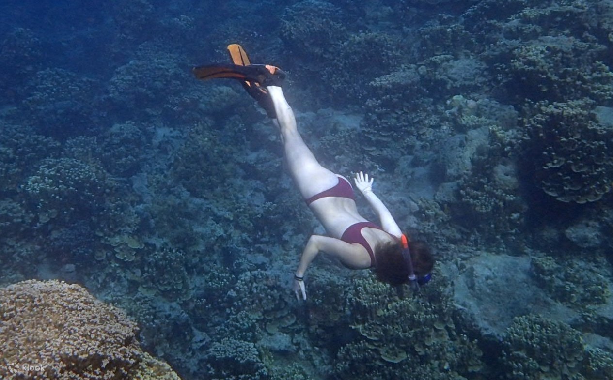 Best Freediving Tour in Guam - Klook
