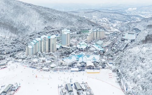Jisan Forest Resort: Everything You Need Before Visiting