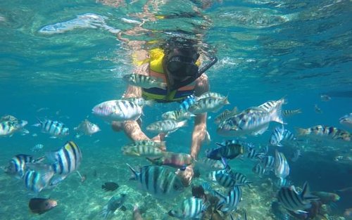Best Kuta Snorkeling 2026